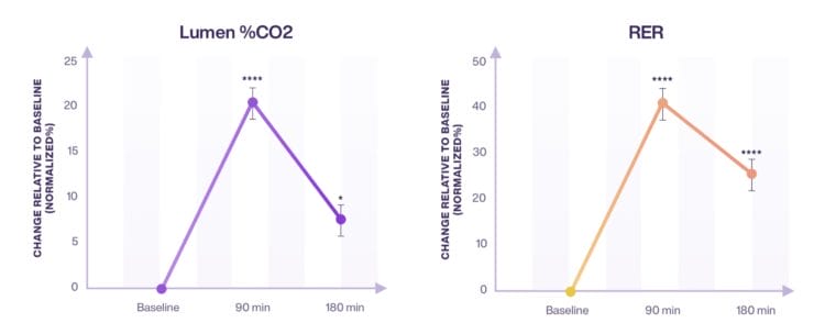 Lumen Review: Valuable Insights With a High Price Tag