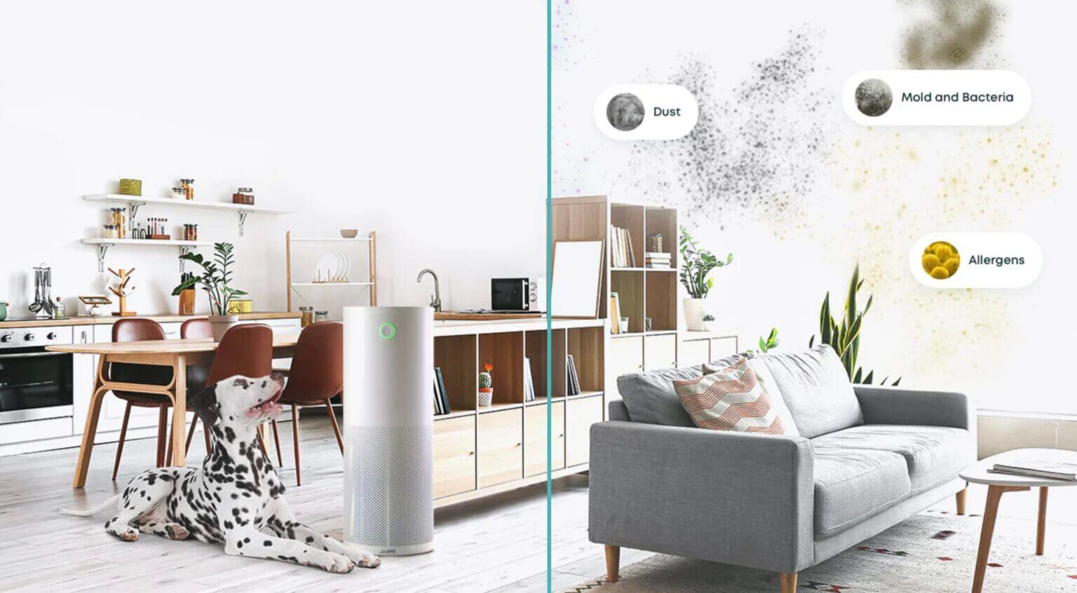 Jaspr Air Purifier Review: Outstanding Performance, Sleek Design